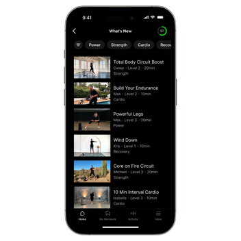 Experience – KATALYST